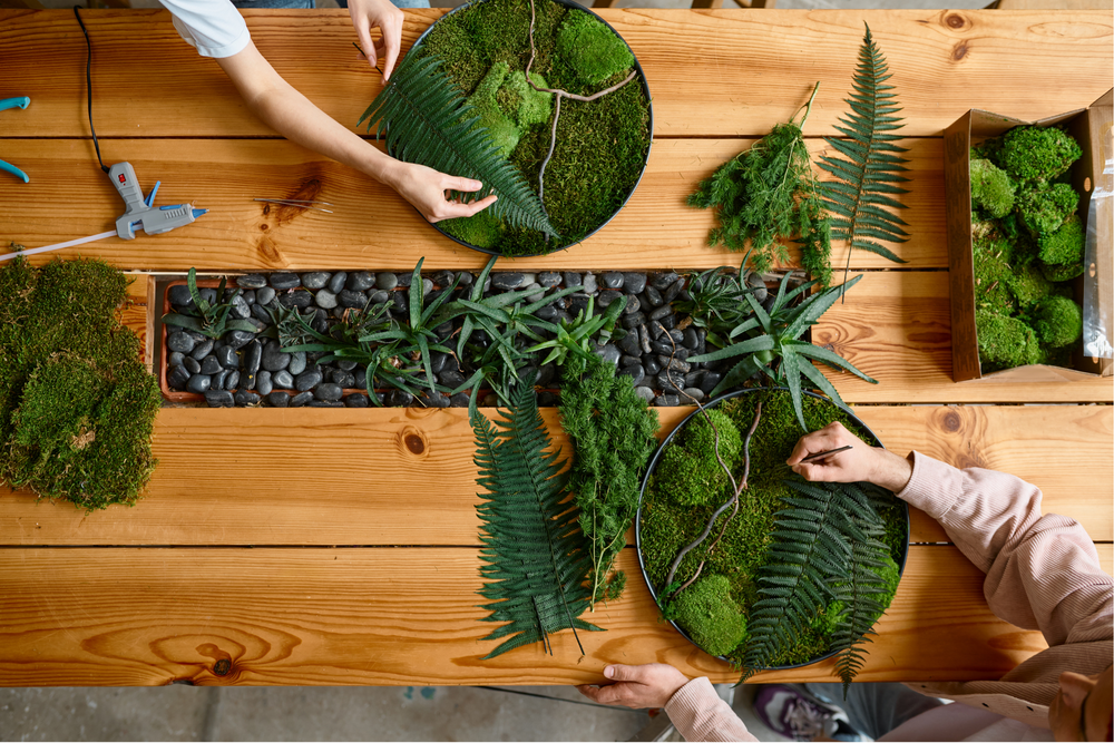Live Wall Installations & Biophilic Workshops in New Jersey – Moss Acres Biophilic Studio & Workshop