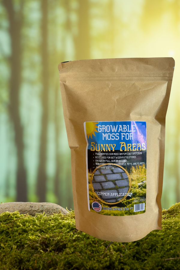 Growable Moss for Sunny Areas – Moss Acres Biophilic Studio & Workshop